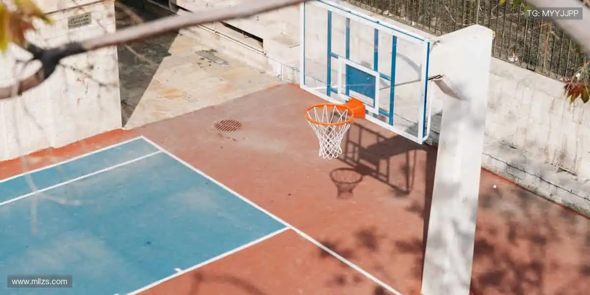 服务种类 | 6686体育-全网最权威的体育赛事高清直播平台|6686-sports